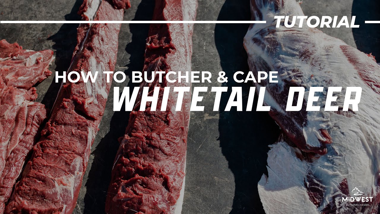 How to Butcher a WHOLE DEER (Caping a BUCK for the Taxidermist) - YouTube