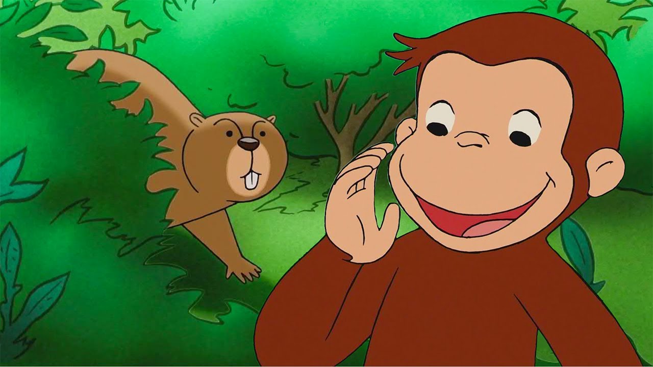 La scimmia e la marmotta 🐵 Curioso Come George 🐵 Cartoni per Bambini ...