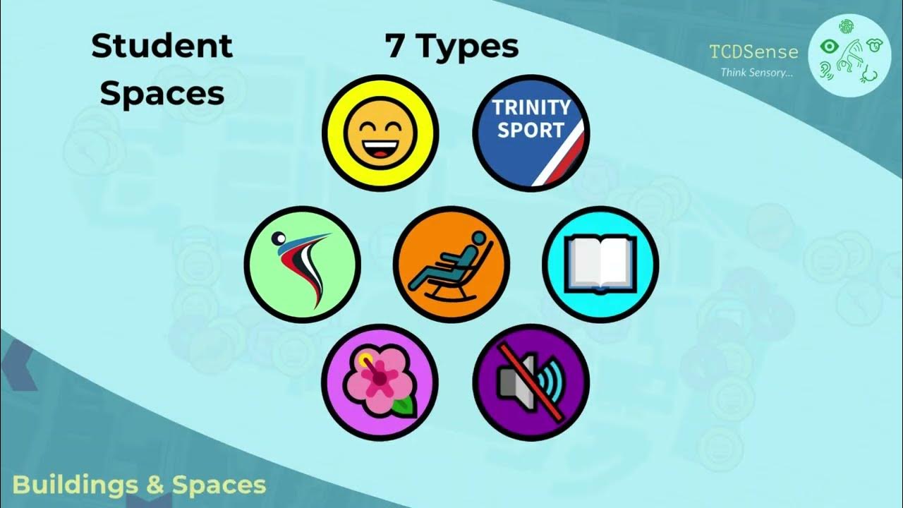 TCD Sense Map Guide - YouTube