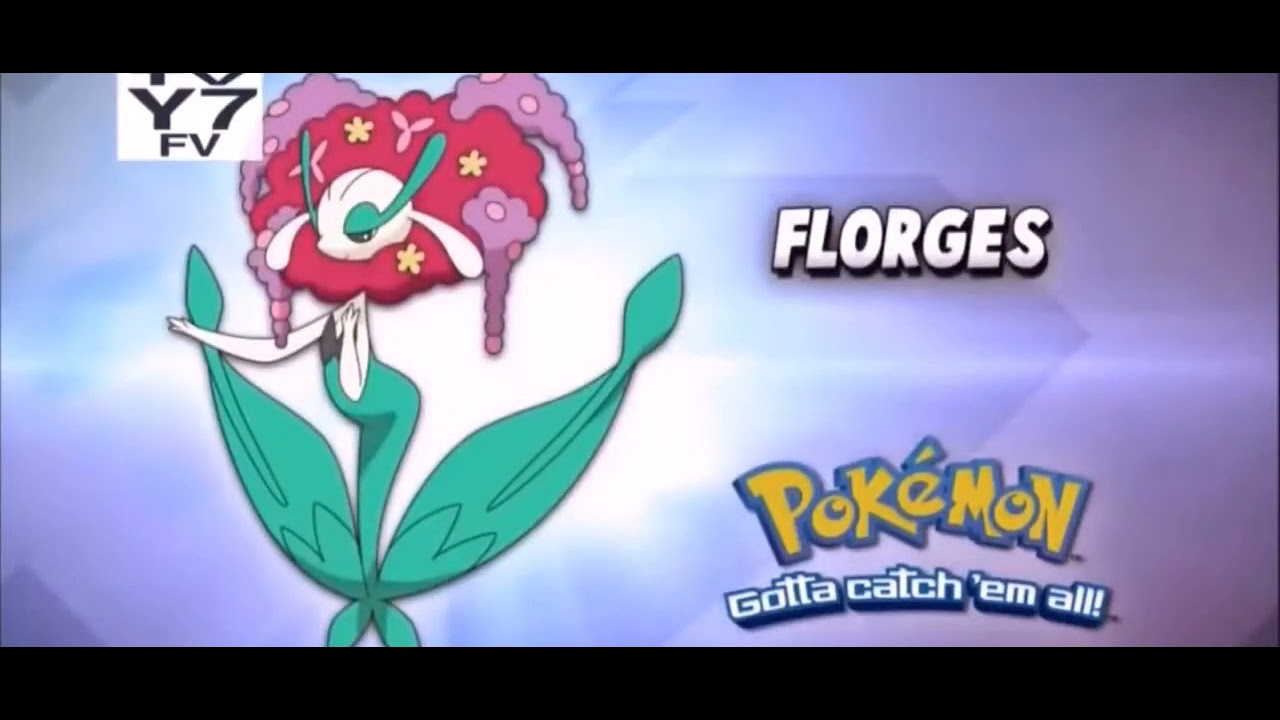 Who's that Pokemon? FLORGES (RED FLOWER) And PANGORO 2015 - YouTube