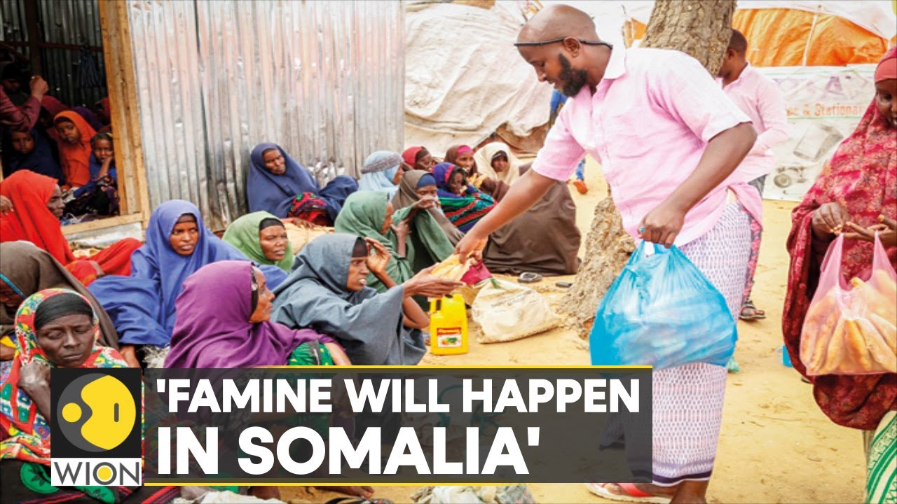 UN warns 345 million people face starvation | World on a brink of ...