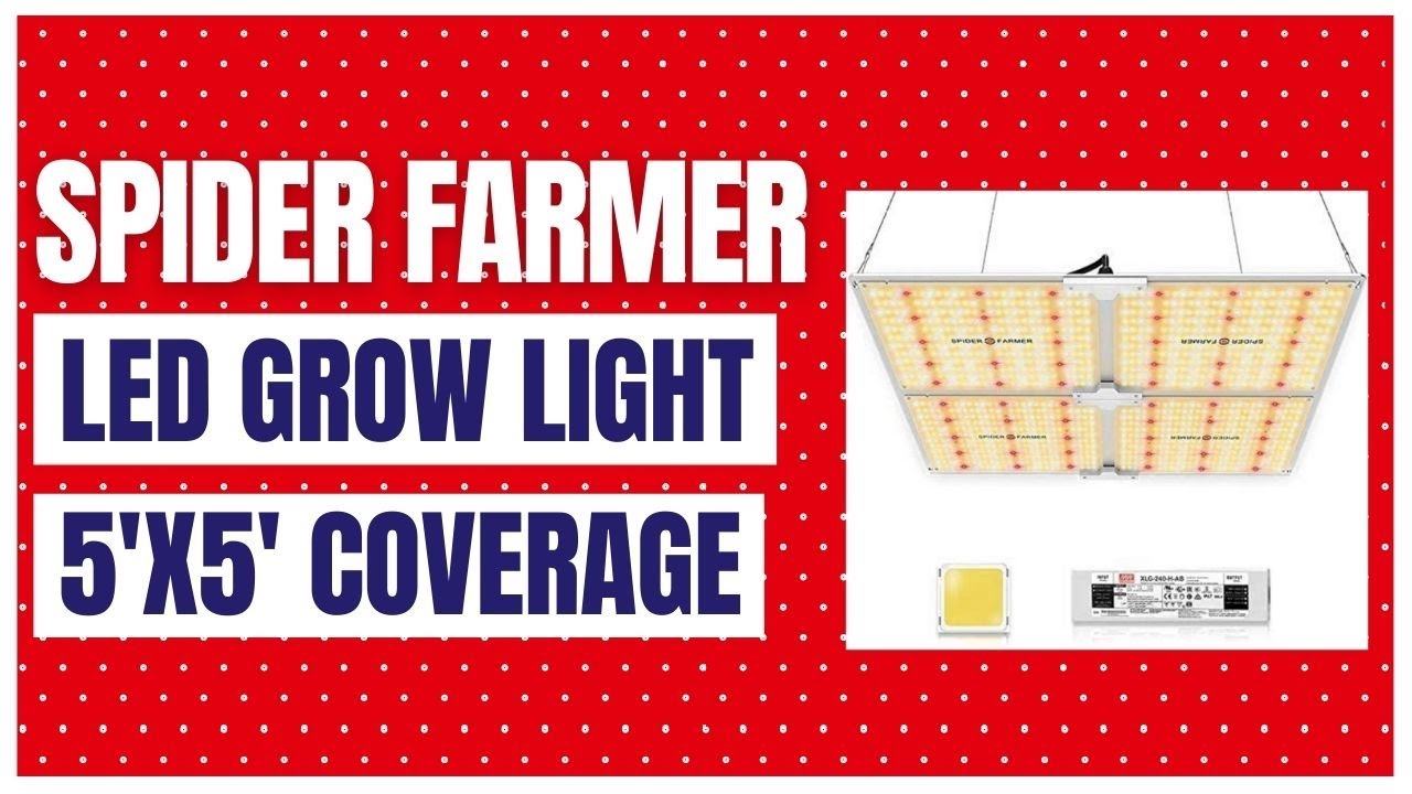 SPIDER FARMER SF-4000 LED Grow Light 5'x5' Coverage - YouTube
