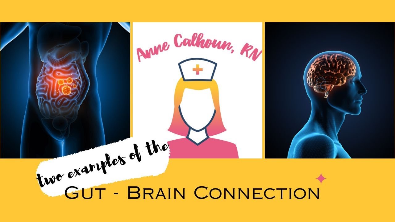 Two Examples of the Gut Brain Connection - YouTube