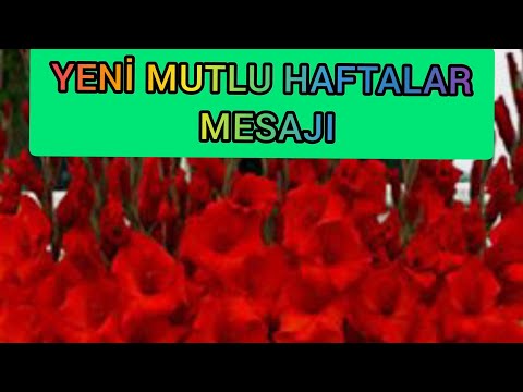 YENİ HAFTA🌺 YENİ UMUTLAR YENİ BAŞARILAR YENİ KAZANÇLAR BOLLUK BEREKET GETİRSİN🌺MERHABA PAZARTESİ