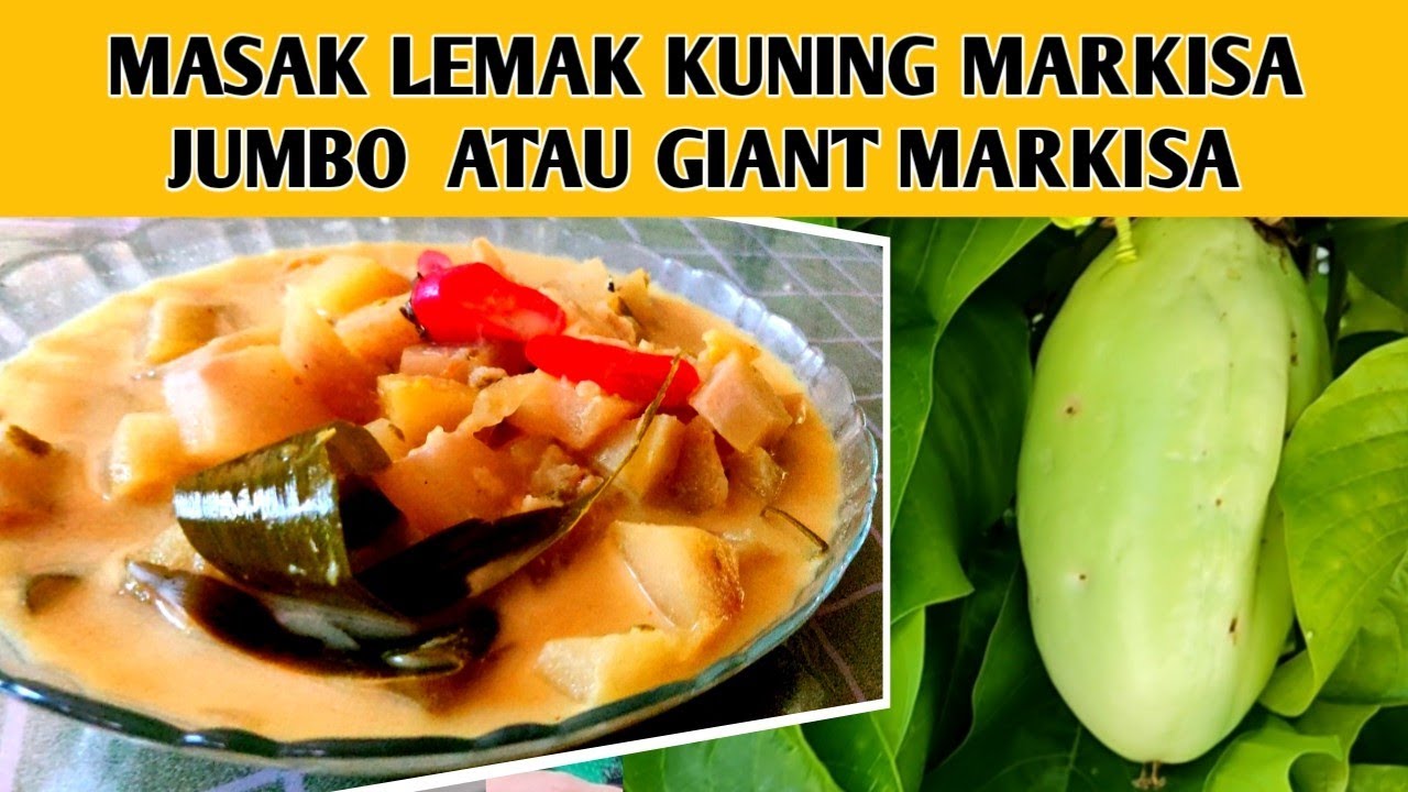 MARKISA JUMBO ATAU GIANT MARKISA MASAK LEMAK CILI API - YouTube
