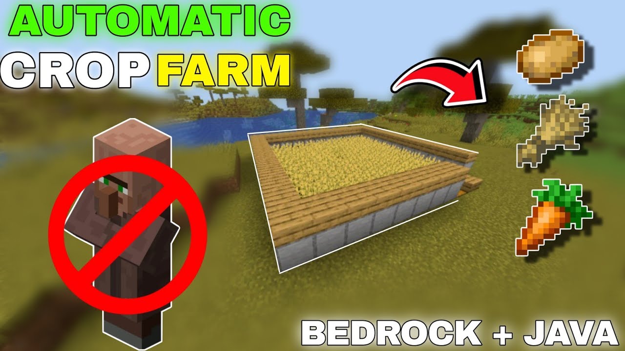 "Easy Auto Crop Farm for Minecraft Bedrock & Java - No Villagers Needed ...