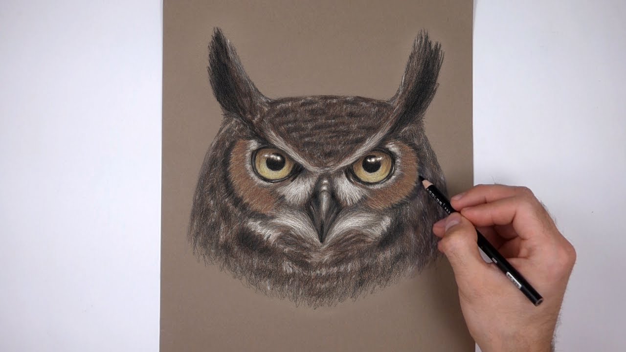 Special Owl Portrait Drawing! - YouTube