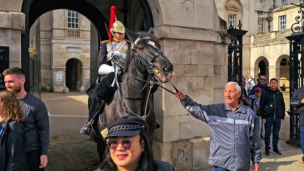 GRINNING IDIOT GRABS AND TUGS THE REINS - COMPLETELY IGNORING THE NEW ...