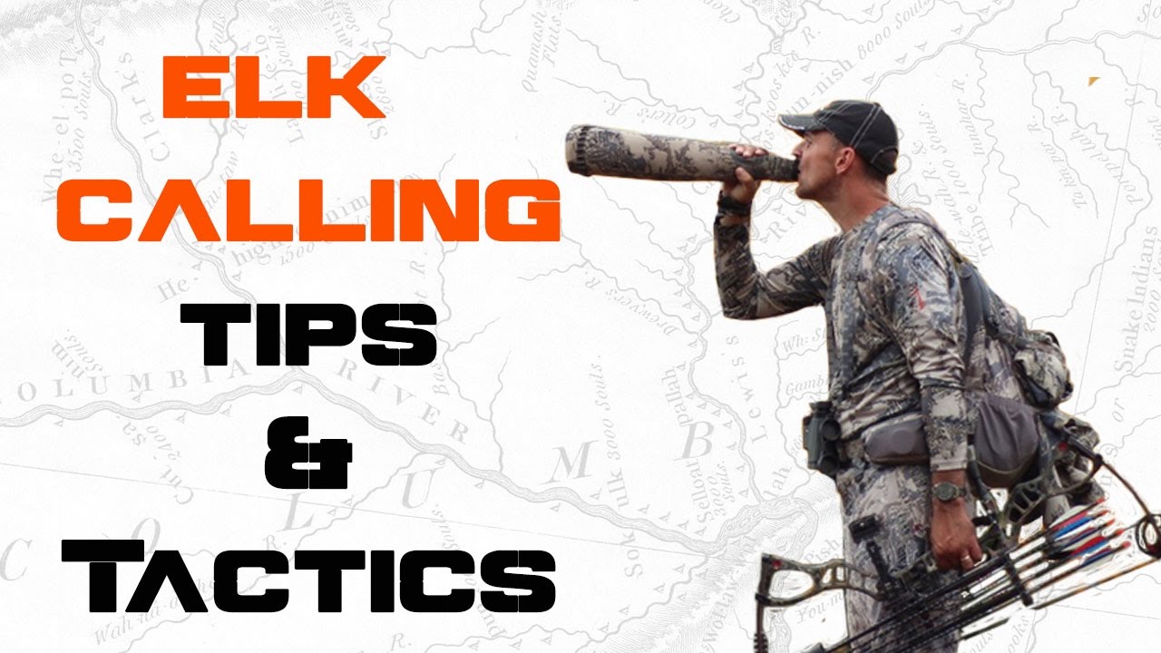 How to Call Elk and Tips for Locating Bulls - YouTube