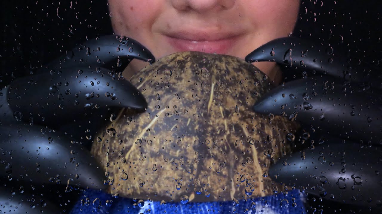 ASMR Coconut Tapping with Rain Sounds! (English) - YouTube