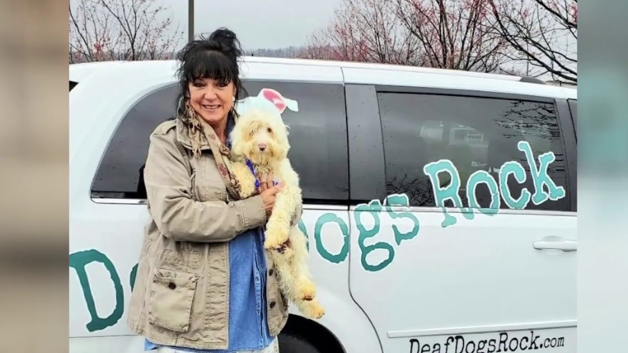 Celebration of Heroes | Christina Lee recognized as animal rescue hero ...