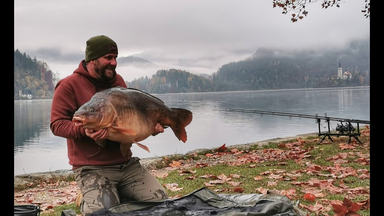 Forge Tackle Social - Carp Fishing in Bled - YouTube