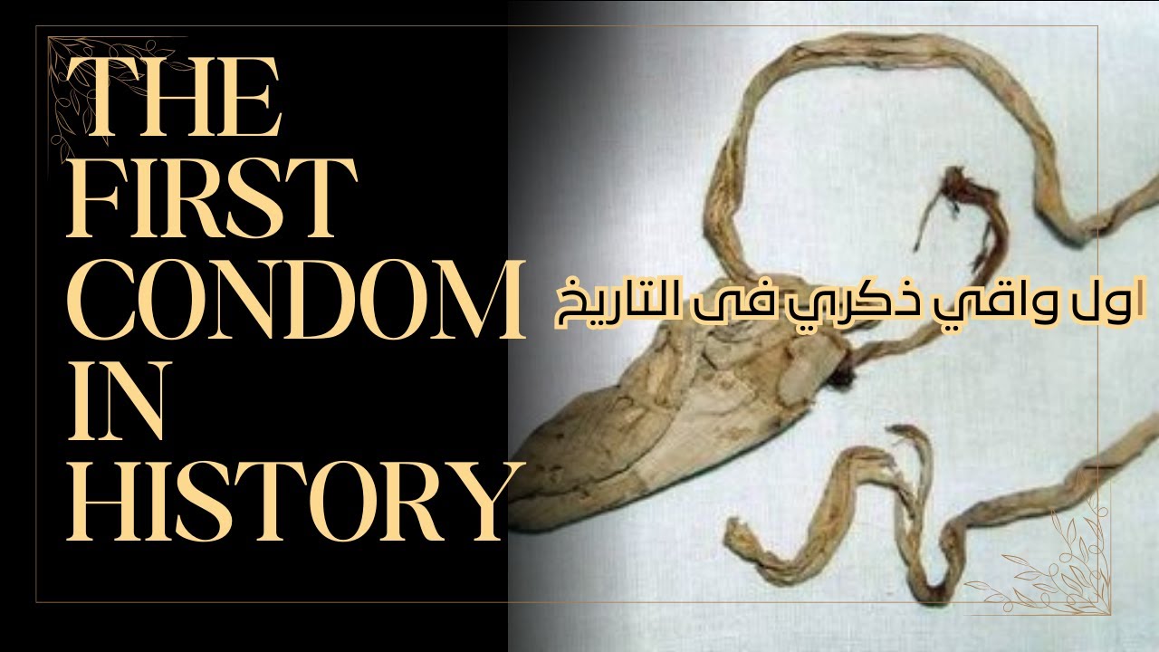 The First Condom In History History Youtube