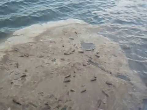 Xezer denizi 25.05.2013-cu ilde