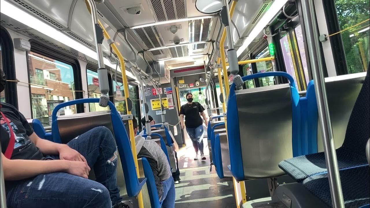 CTA On Board Riding 2019 Nova LFS Bus 8343 on Route 90 Harlem from Green Line to Harlem/Leland ...