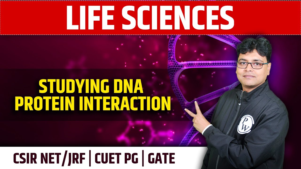 Life Sciences | Studying DNA Protein Interaction | IITJAM | CSIR NET ...