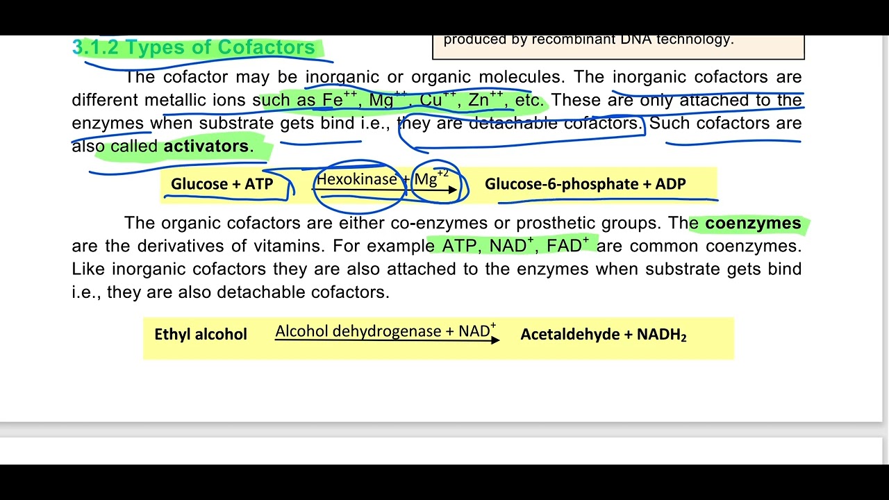 Types of Cofactors, Coenzymes, and Prosthetic group 11th Biology # ...
