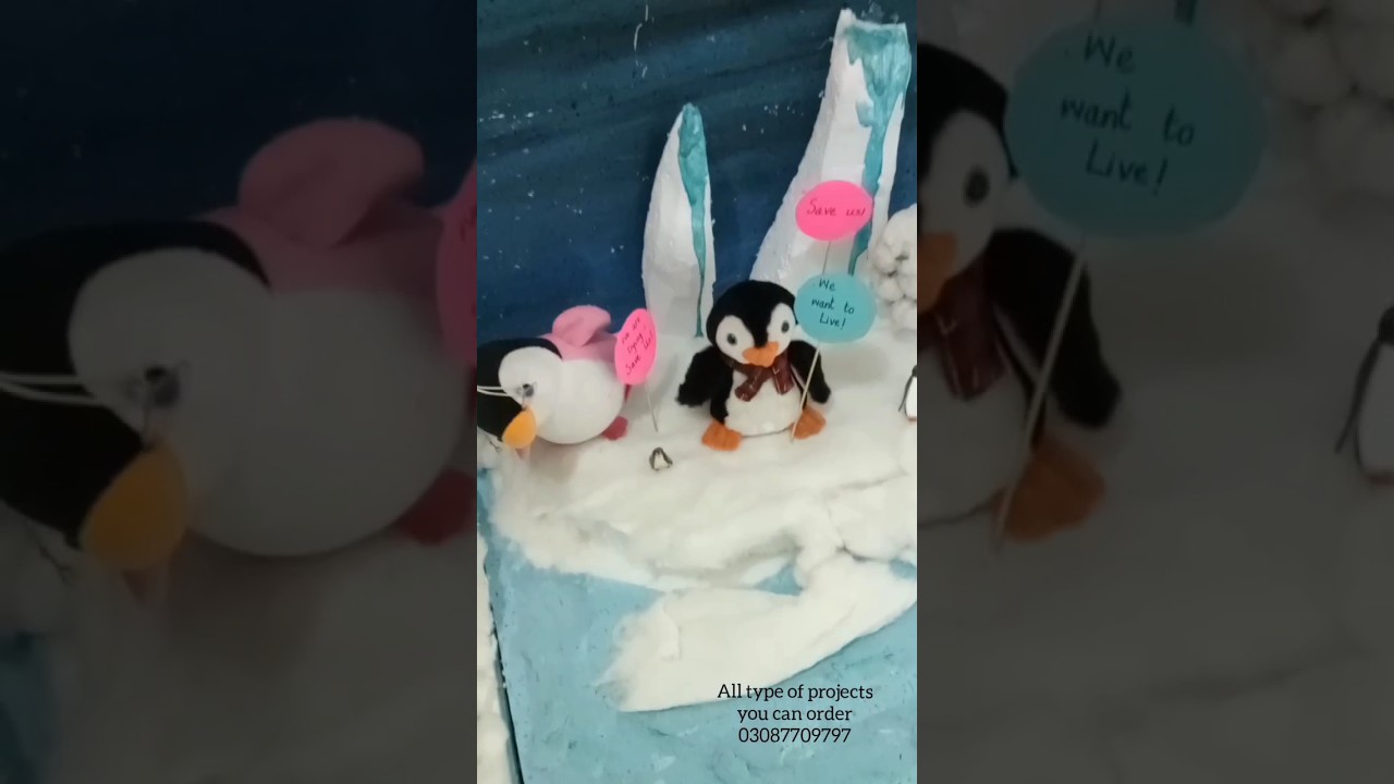 Projct making #project #snow #penguin #craft #iceberg #reels #viral # ...