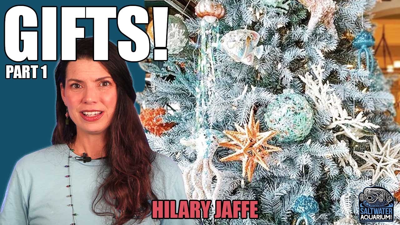 GIFTS For Newbie & Experienced Aquarists, Part 1 - Hilary Jaffe - YouTube