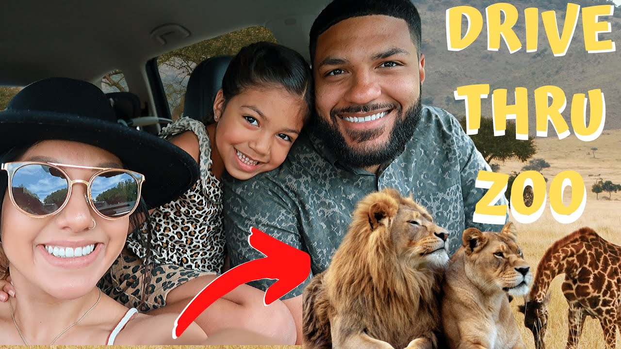 QUARANTINE ZOO VISIT!? Our FIRST DRIVE THRU ZOO!! - YouTube