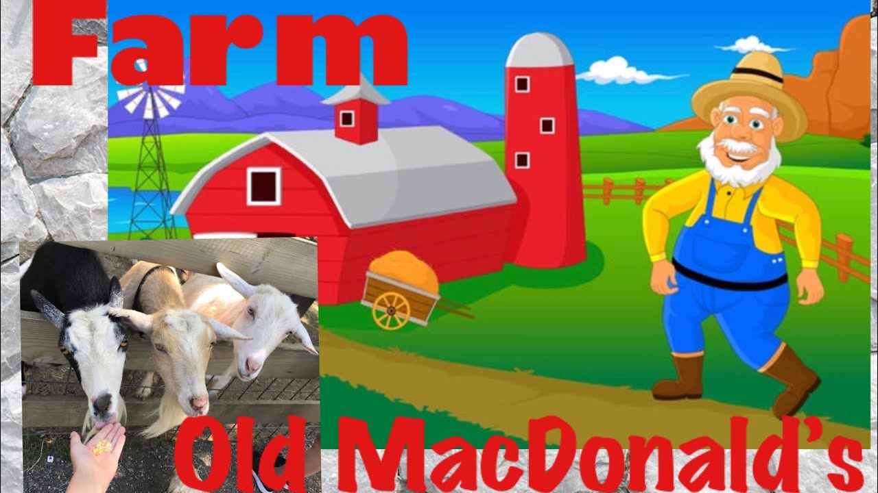 Visiting Old MacDonald Farm | Educational Animal Kids Video - YouTube