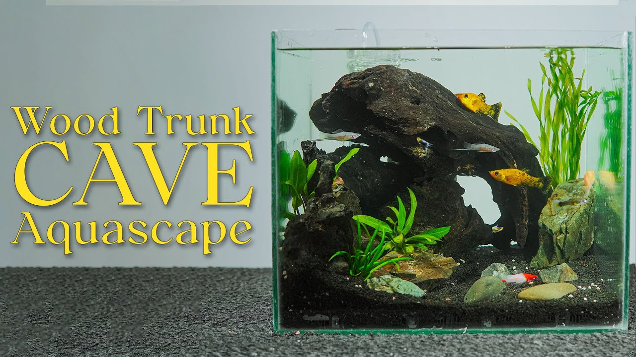 Creating Underwater Cave with Wood Trunk || AQUASCAPE - YouTube