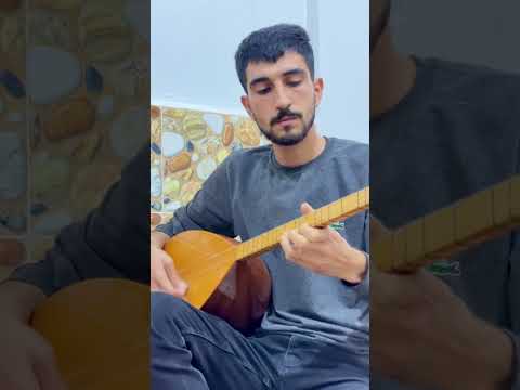 Berf hatiye rê girtiye (Şehîd Viyan Soran)