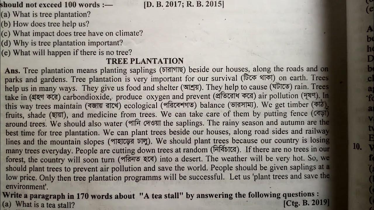 Paragraph tree plantation - YouTube