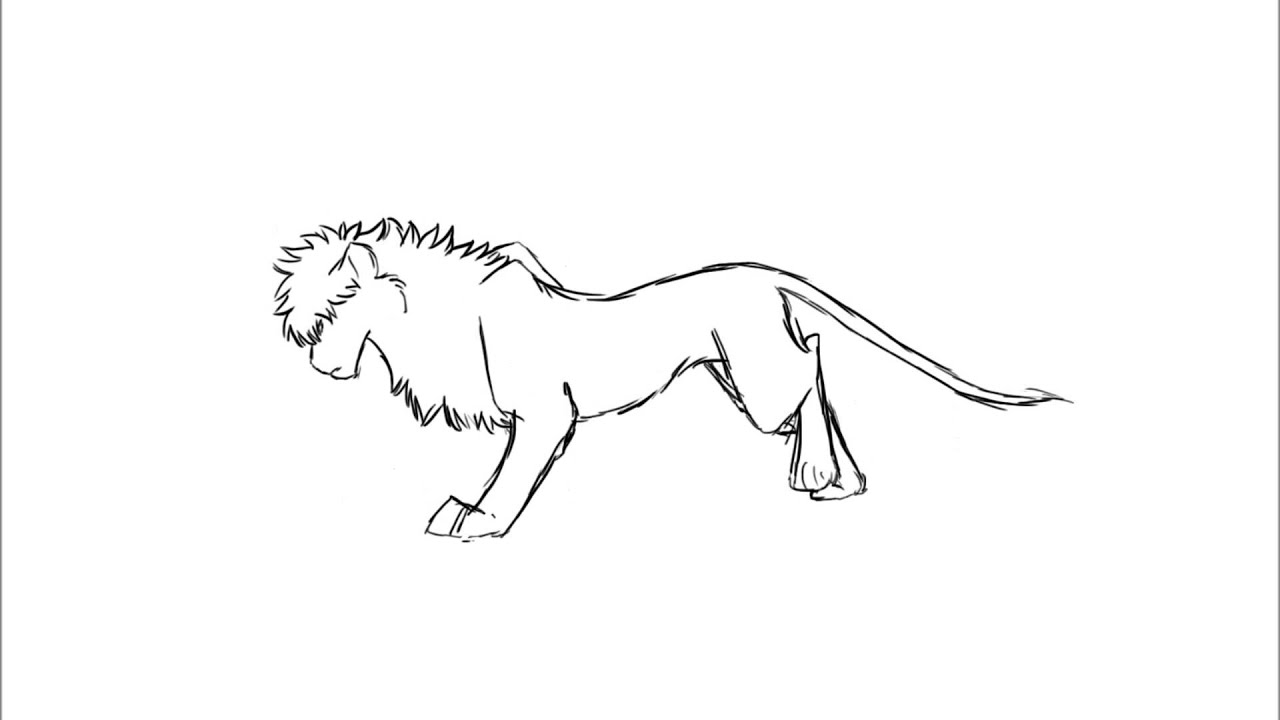 Lion Walk Animation - YouTube