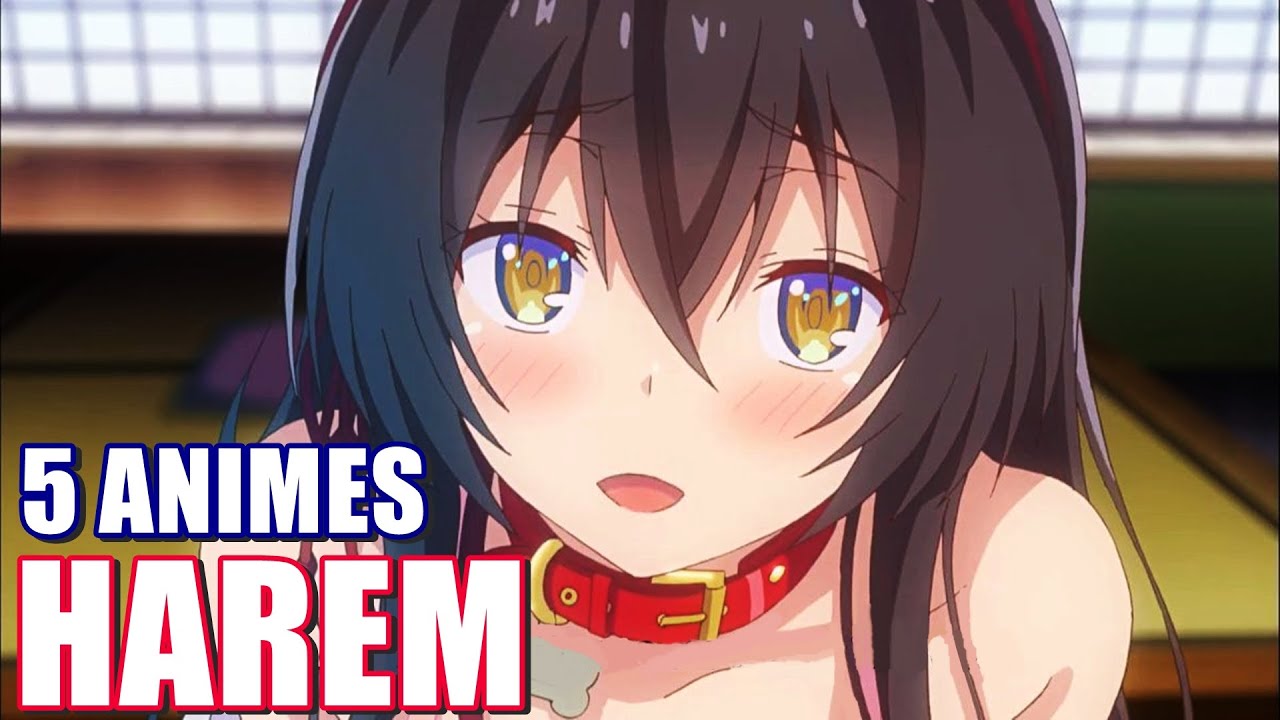 Top 7 Animes De Romance Ecchi Y Harem Que Debes Ver Images