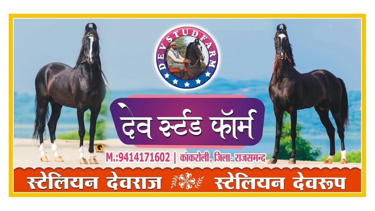 DEV STUD FARM // PUSHKAR FAIR 2023 - YouTube