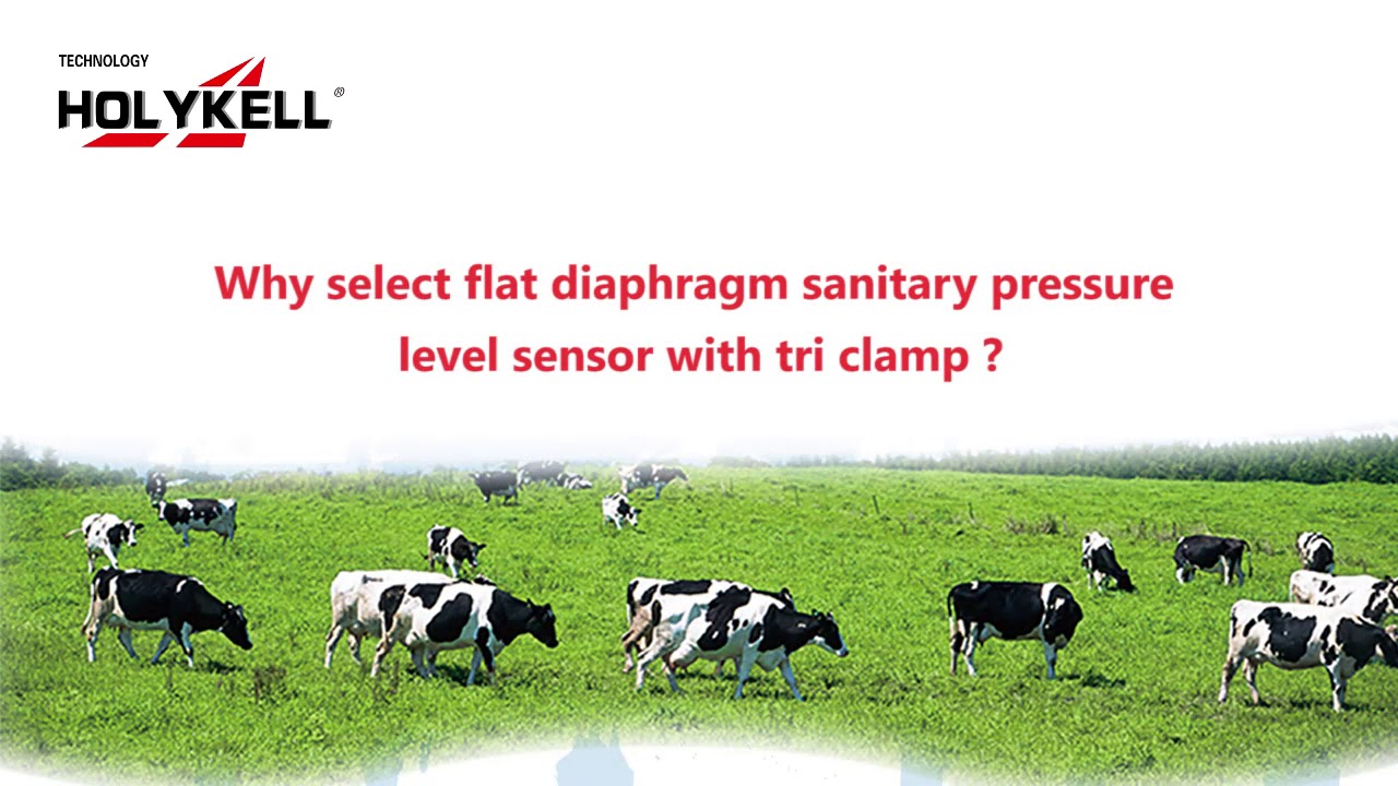 Flat Diaphragm Sanitary Pressure Level Sensor for Milk Level ...