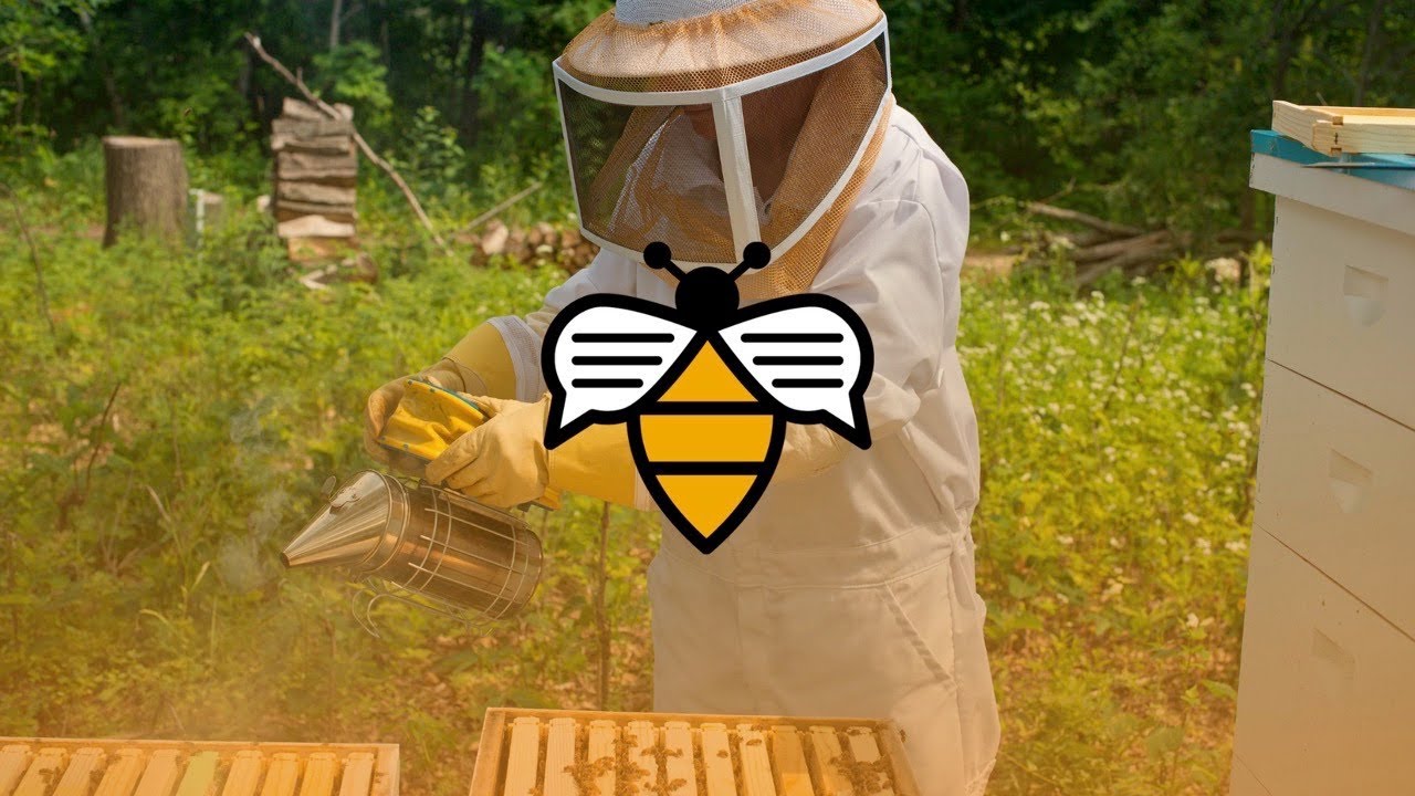 Bee Talks with Bill Hesbach - August 2023 - YouTube