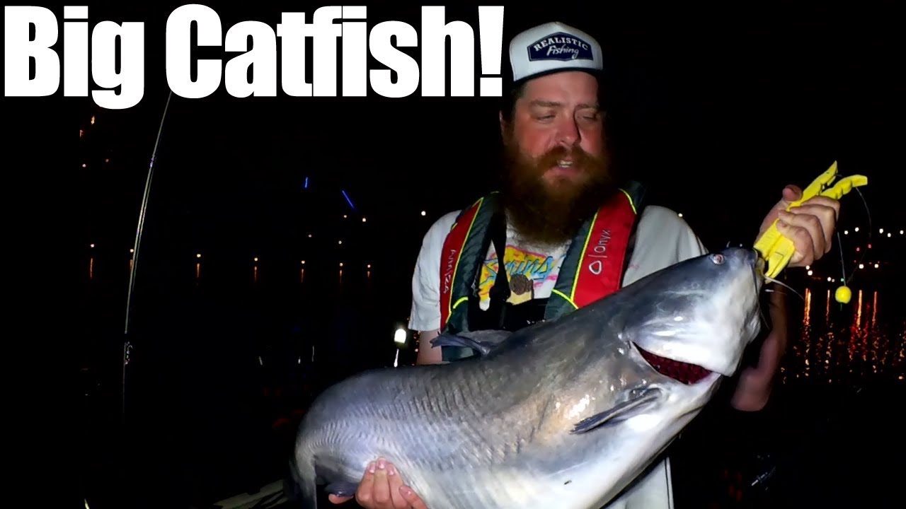Can I catch Big Catfish On Bass Fishing Gear? Chatt Cats Challenge ...