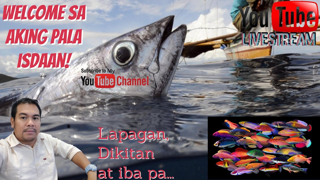 Hello Guys Pasok Lang At Mag Iwan Ng Bakas - YouTube