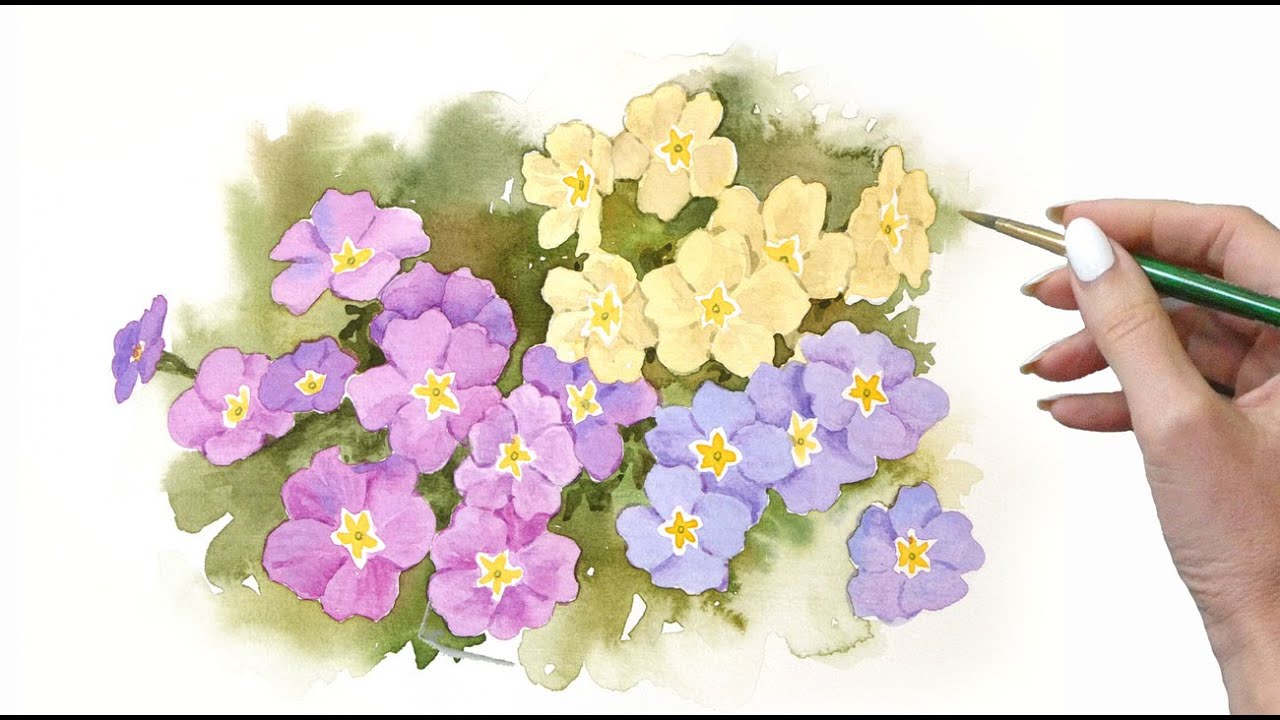 Primule gialle, lilla e viola dipinte con l’acquerello - YouTube