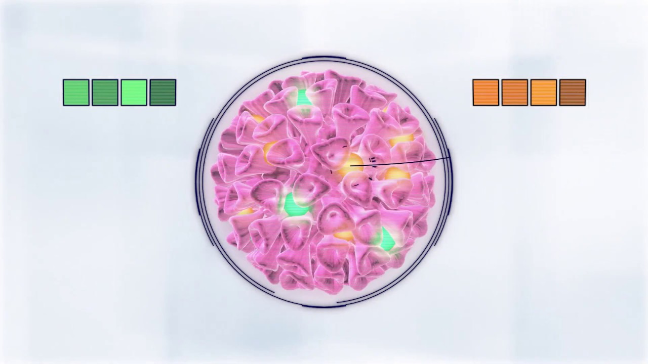 INOVIO DNA Medicine MOA - YouTube
