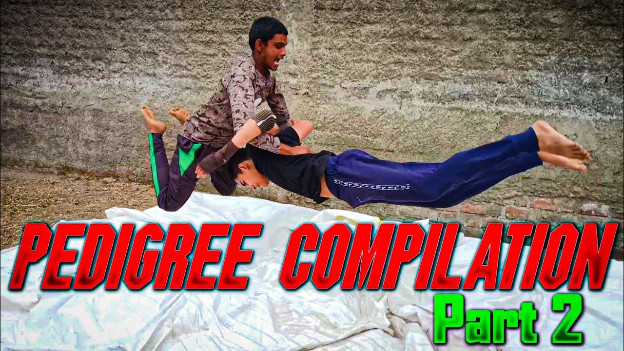 WWE Most Epic Pedigree Compilation | Wrestling Styles - YouTube