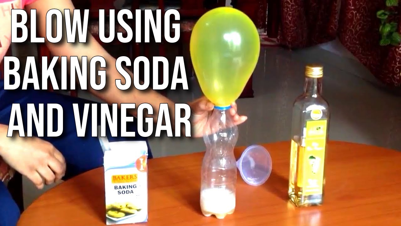 How to blow a balloon using Baking soda and Vinegar Experiment | How to ...