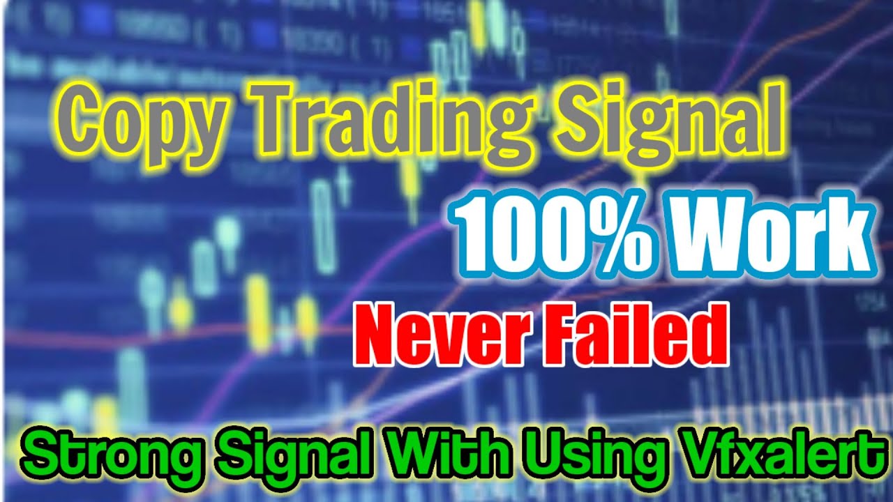 Copy Trading Signal - 100% Work - Quotex Option Strategy 2021 - YouTube