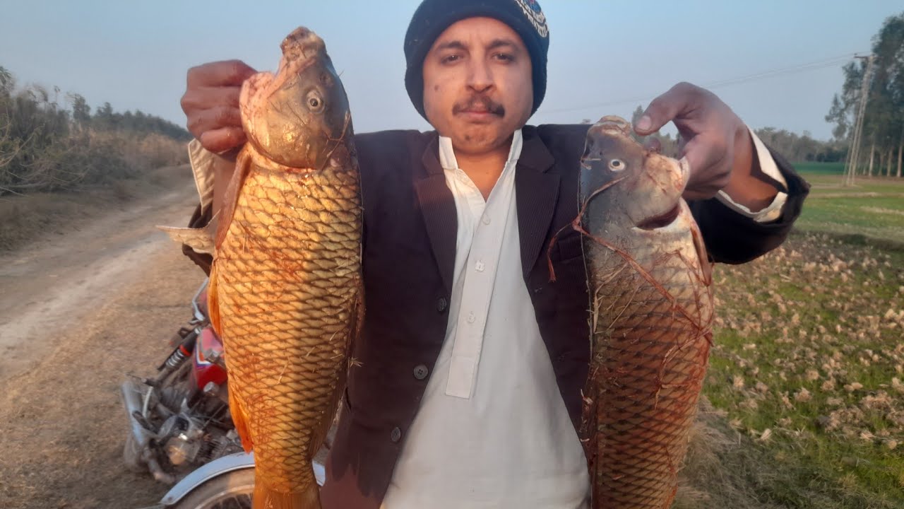 Fish Hunting hook fishing l Expert Fish Catching l Shakar 2021 - YouTube