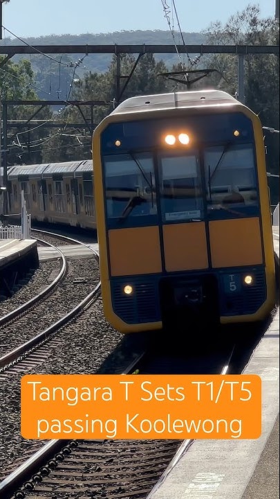 Tangara T Sets T1/T5 passing Koolewong #shorts - YouTube