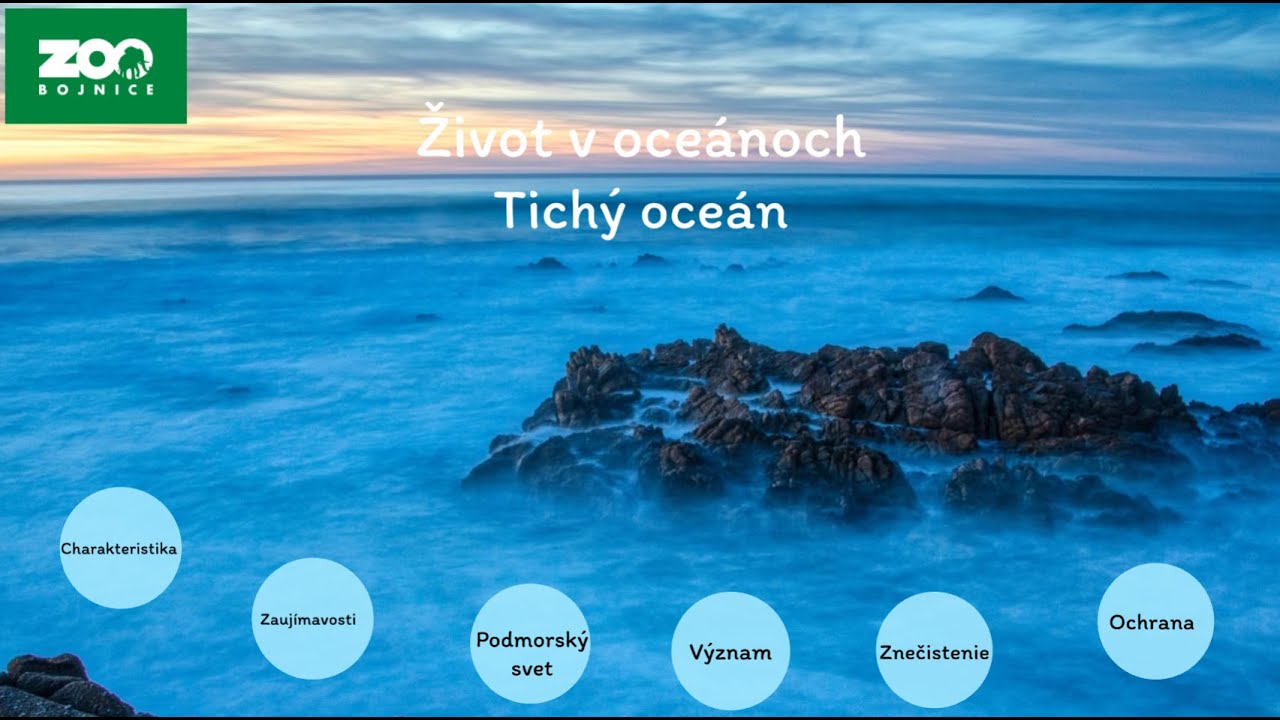 Život v oceánoch. Tichý oceán - YouTube