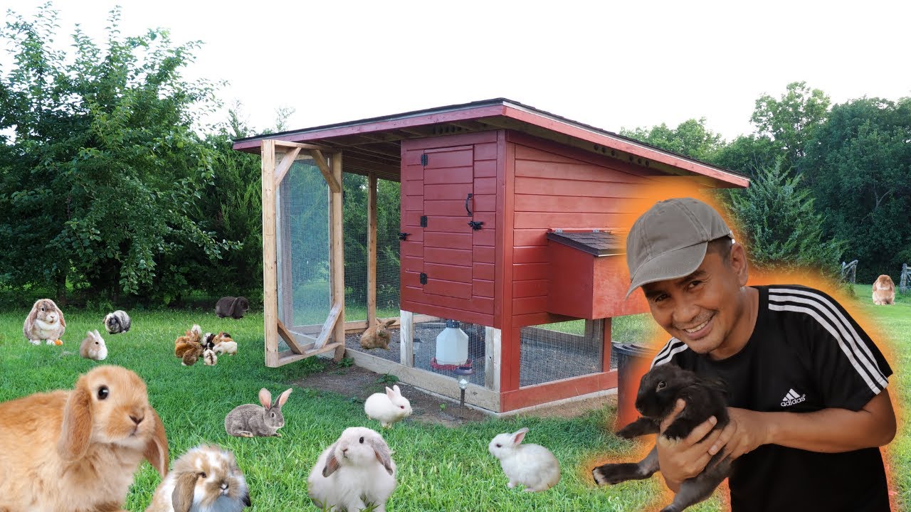 We're BACK! Rebuilding Our Rabbit Farm 🐰 | Meet Our New Bunnies! - YouTube