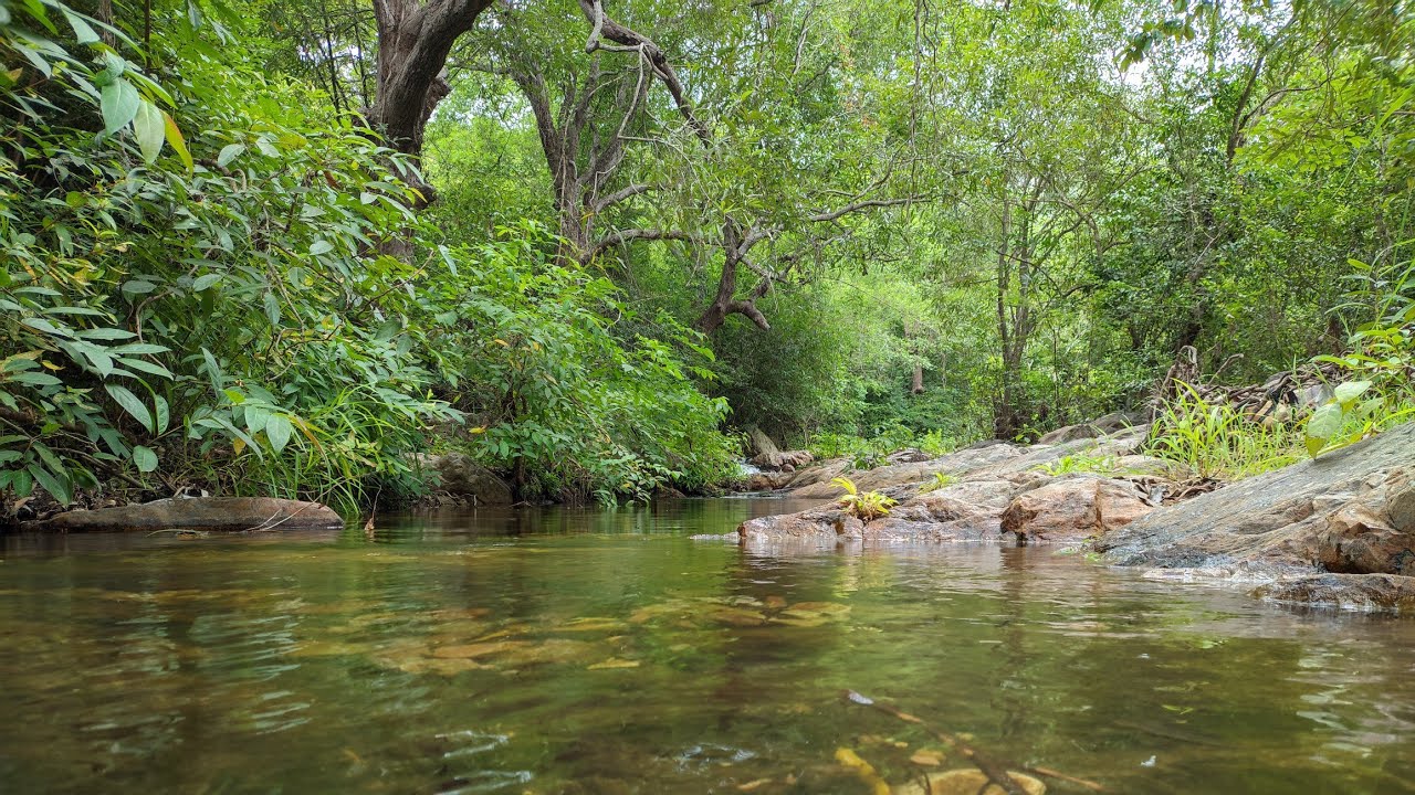 Nagalapuram Aare Falls | One day Trip from Chennai | Trekking spots ...