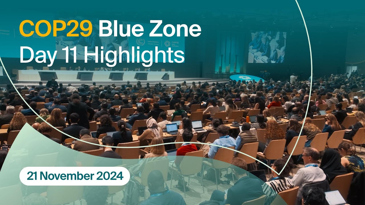 COP29| Blue Zone Day 11 Highlights - YouTube