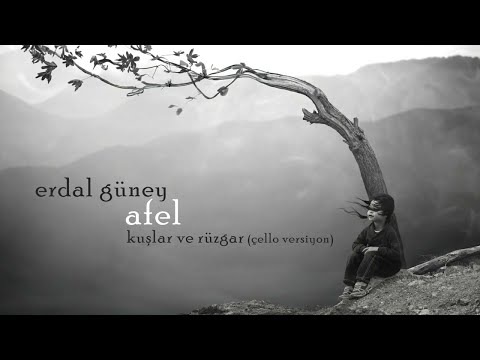 Erdal Güney - Kuşlar ve Rüzgar