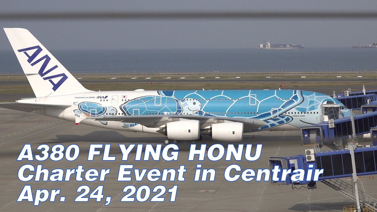 【4K】ANA A380 FLYING HONU in セントレア ANA A380 FLYING HONU in Nagoya ...