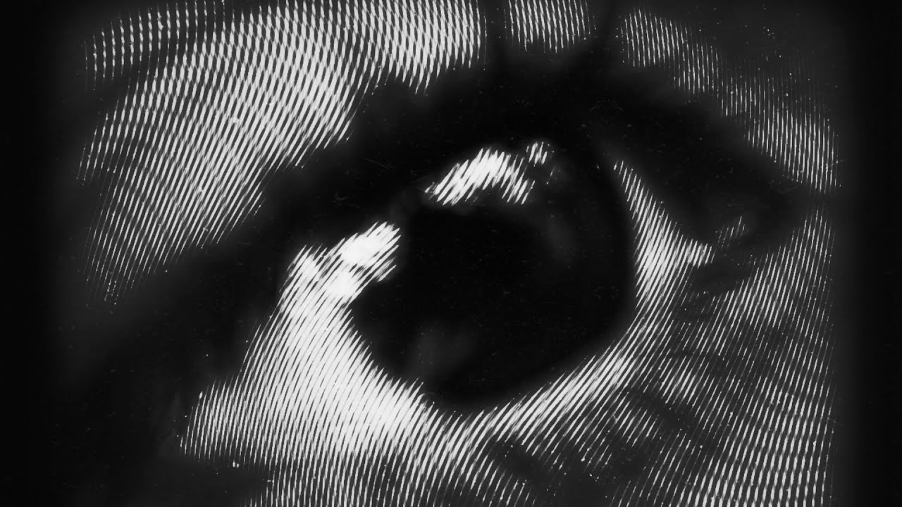 Rodox - Noche del 14 🍁 - YouTube