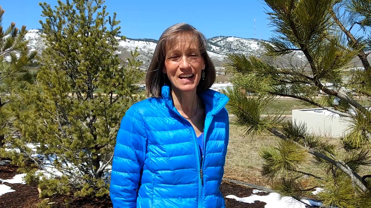 Tammy Story for Colorado - YouTube